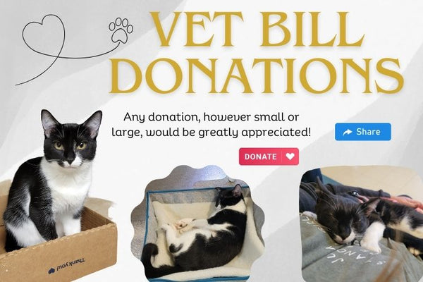 Vet Bill Donations - Fanta Productions